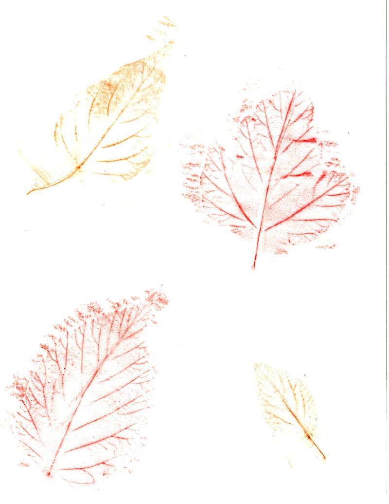 Leaf Print Ideas